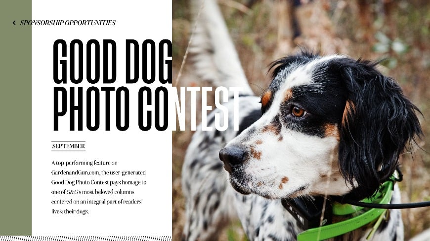 Good Dog Photo Contest