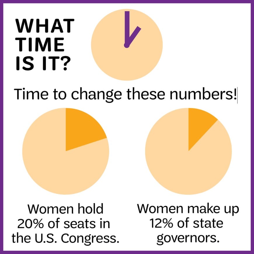 Election Infographic Pie Charts website