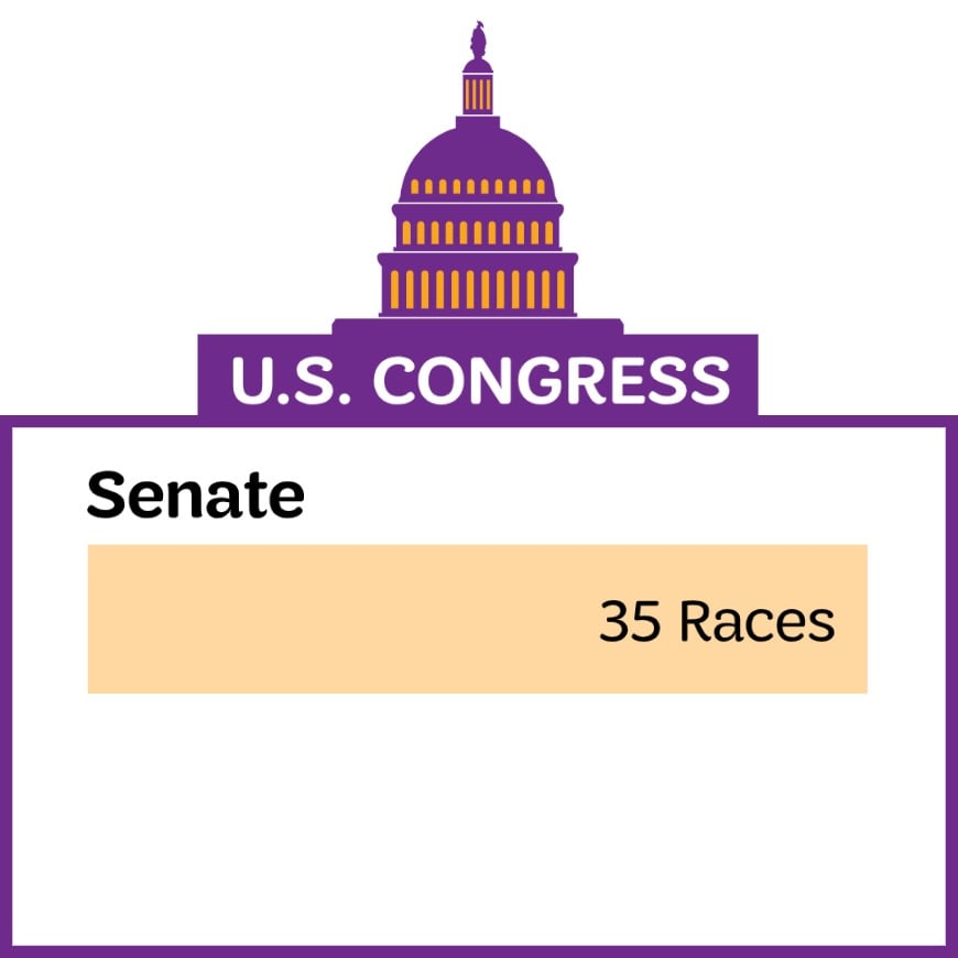 Election Infographic Senate website