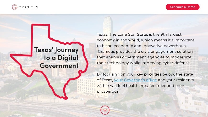 Texas' journey to a digital government
