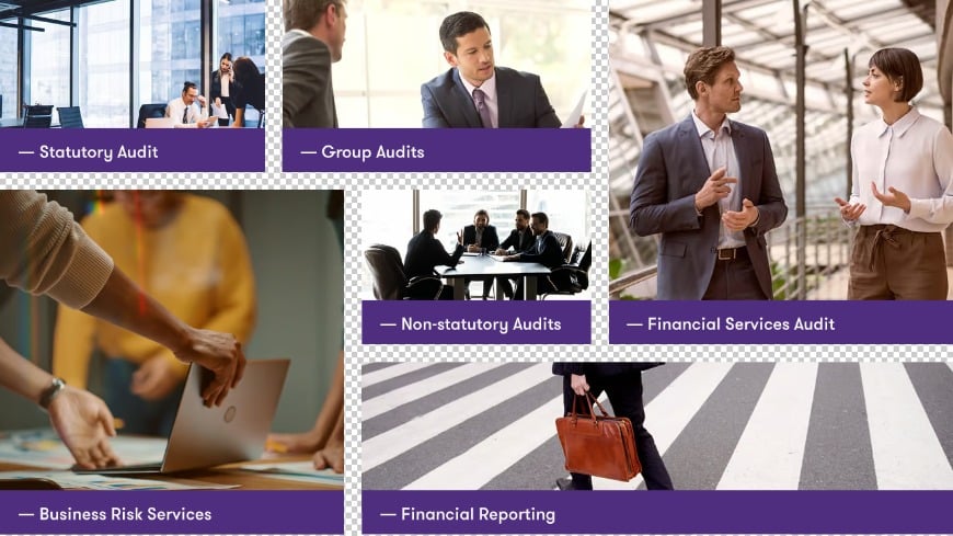 Audit - Services NI Business risk services, resourcing, third party ...