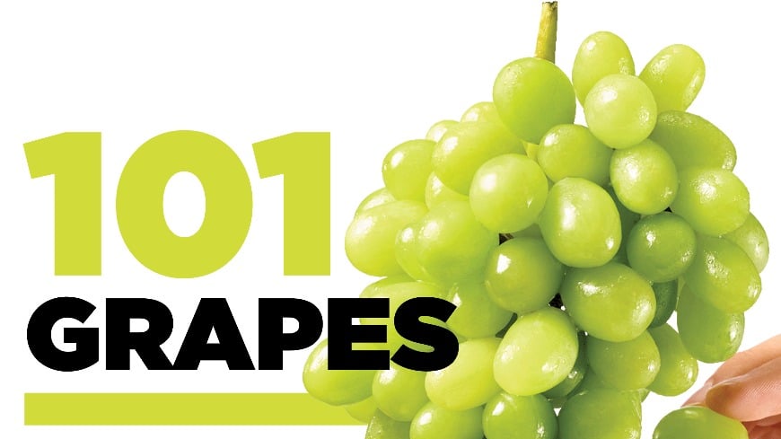Grapes: 101 - Kiosk
