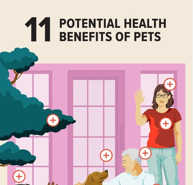 11 Potential Health Benefits of Pets
