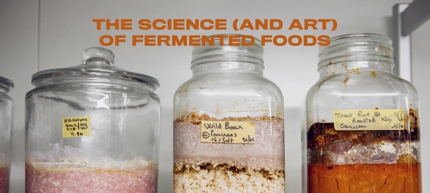 The Science (and Art) of Fermented Foods NOMA Fermentation David Zilber ...