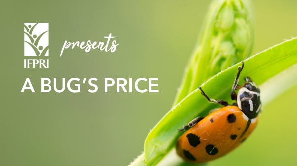 Bug's Price: Desktop