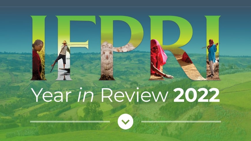IFPRI Year in Review 2022