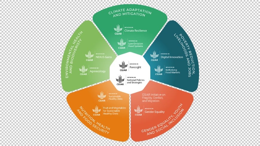 CGIAR Research Initiatives
