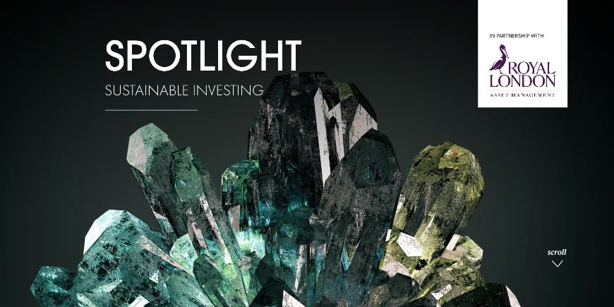 Spotlight: Sustainable Investing in partnership with RLAM