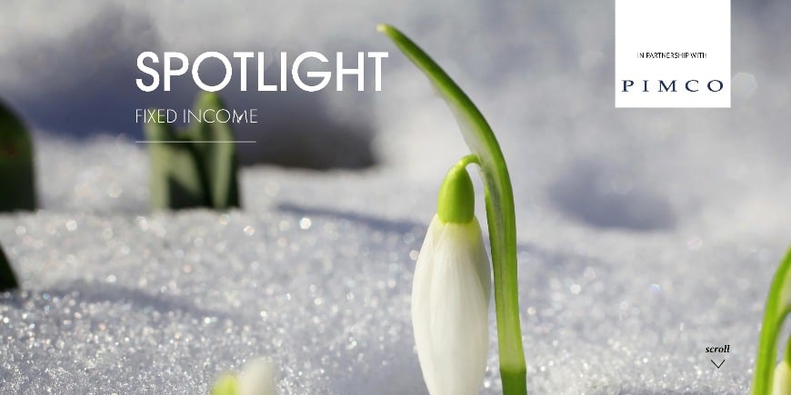 Spotlight: Fixed Income in partnership with PIMCO