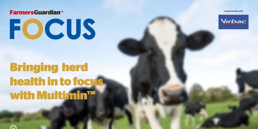 Farmers Guardian Focus: Virbac - Bringing herd health in to focus with ...