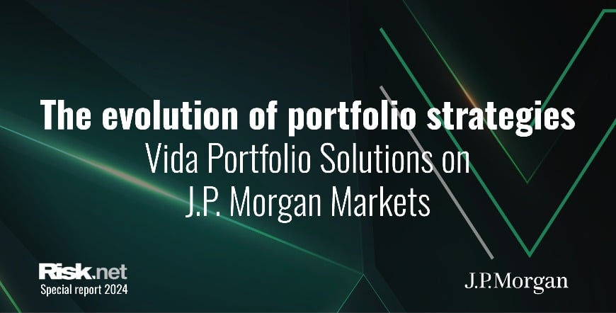 The evolution of portfolio strategies