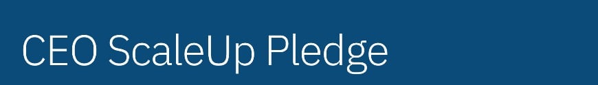 DE&I ScaleUp CEO Pledge