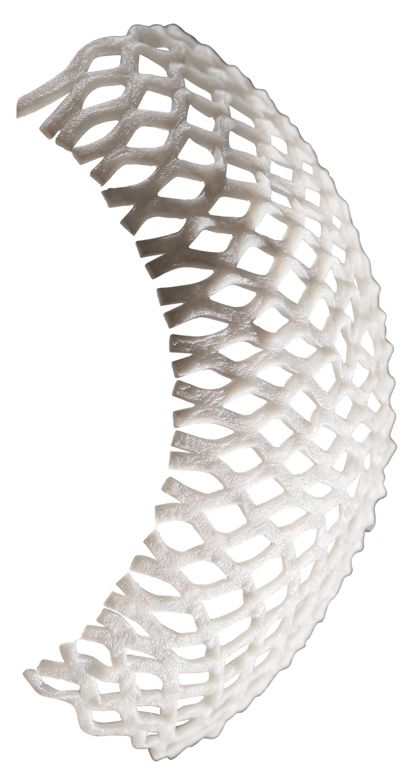 2105728-3-EN SurgiMend PRS Landing Page w Recall