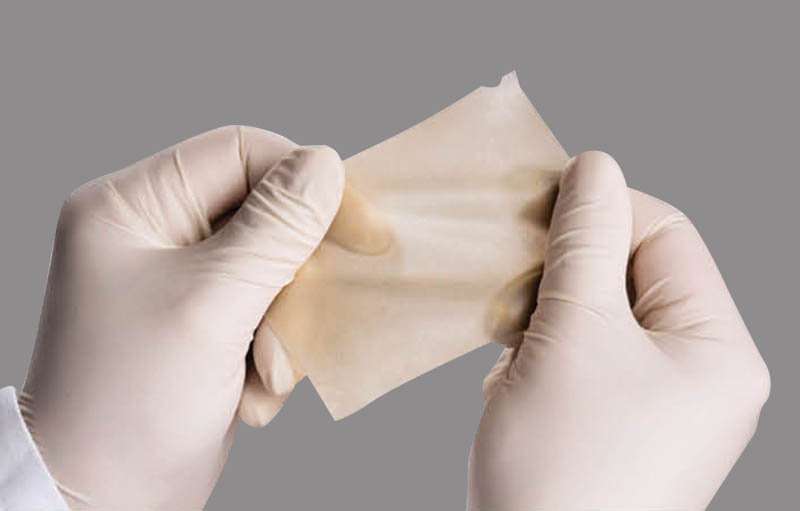 2105722-2-EN Gentrix Landing Page