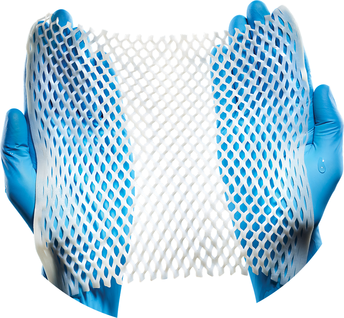 2105728-3-EN SurgiMend PRS Landing Page w Recall