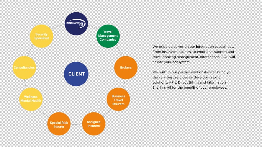 Partners infographic - ENG