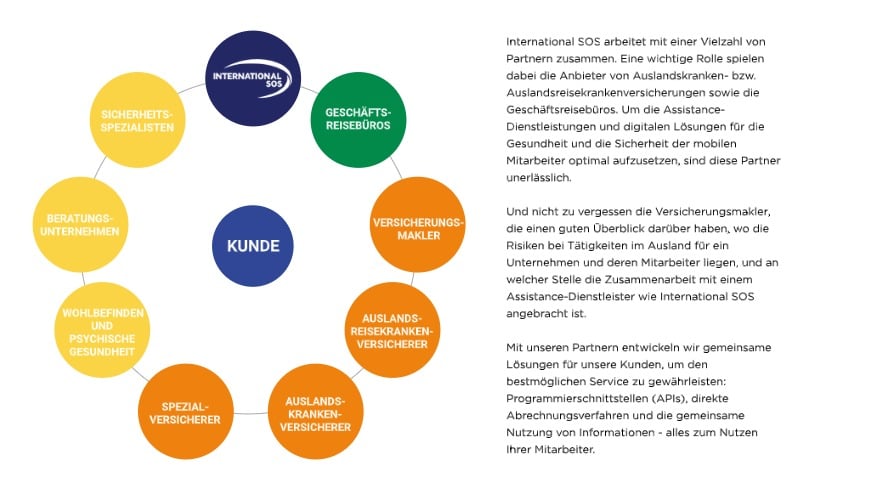 Partners infographic - DE v2