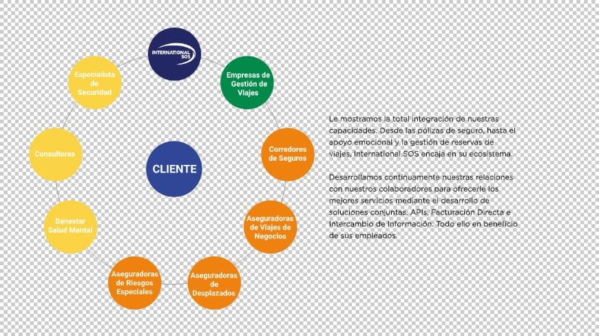 Partners infographic - SP v2 Socios