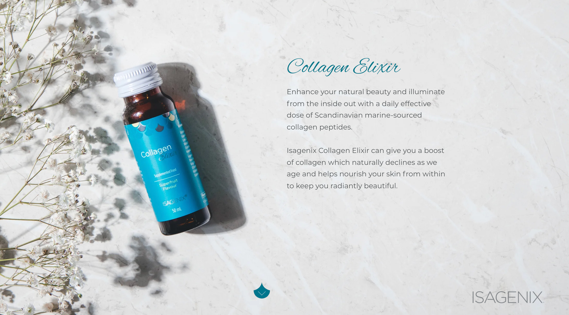 Collagen Elixir Toolkit Collagen Elixir Toolkit Collagen Elixir Toolkit Collagen Elixir Toolkit