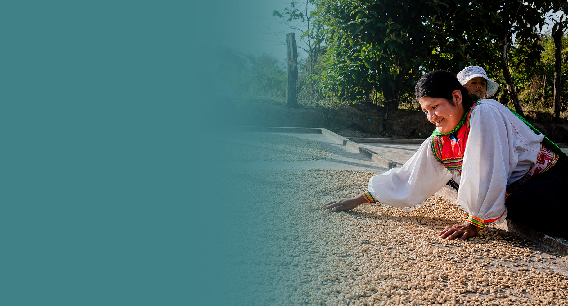 Kerry Coffee Timeline