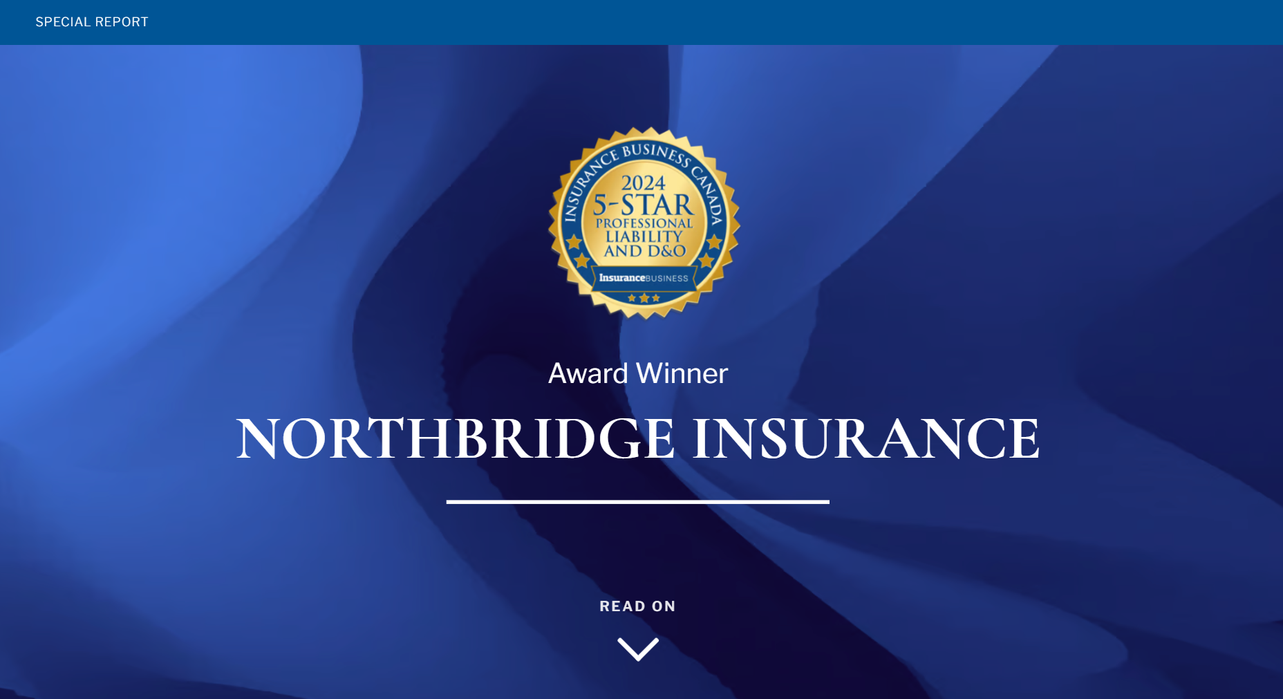 IBC 5-Star Professional Liability and D&O 2024 - Northbridge Insurance ...