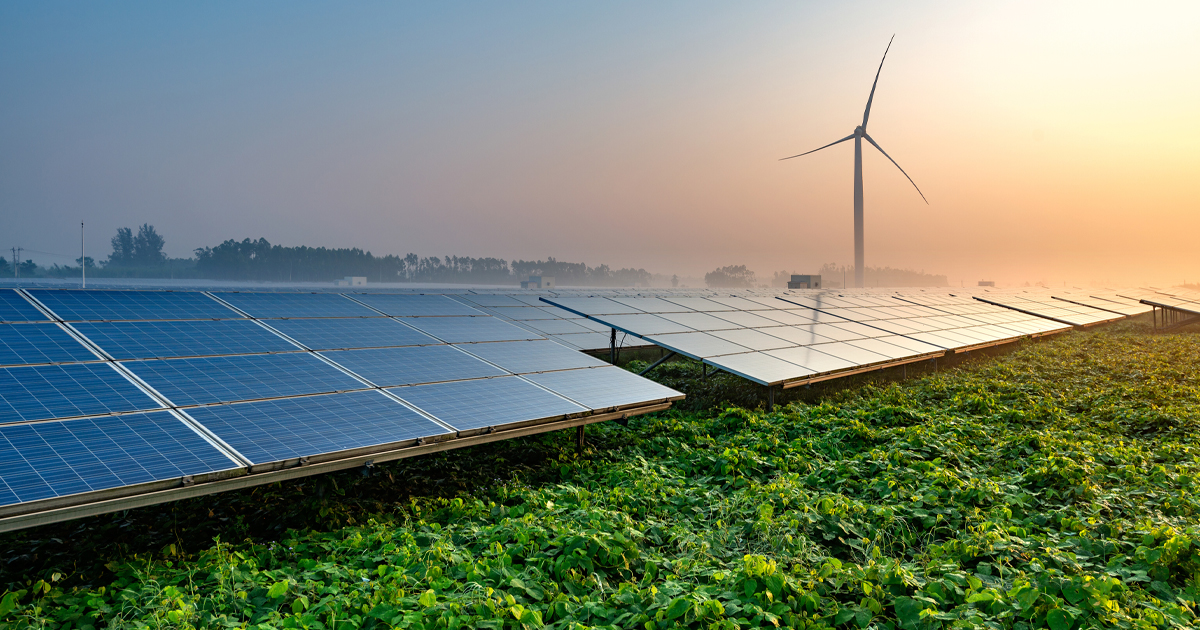 Sector Focus - June - Jencap Group The dark side of solar panels