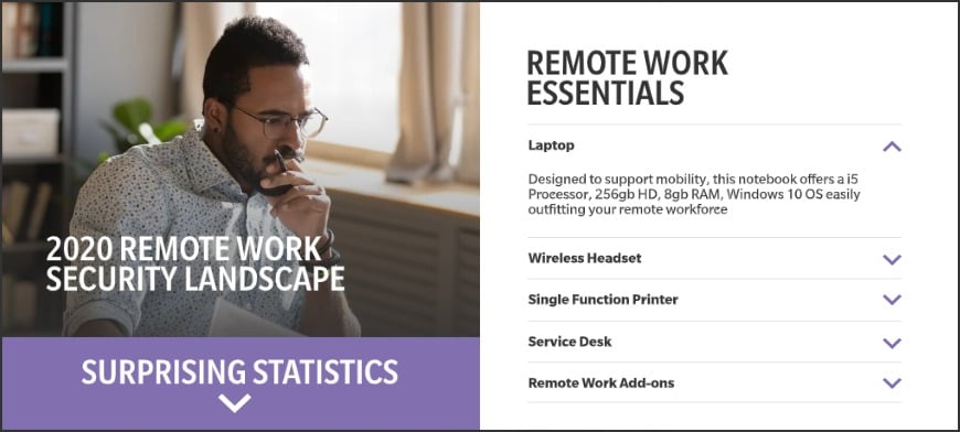 Remote Work Infographic