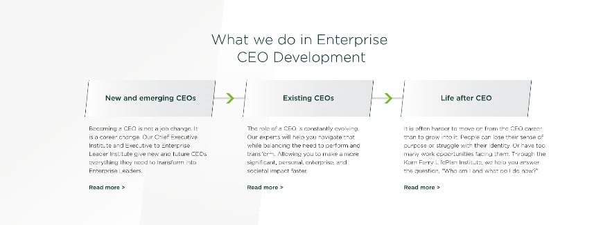 CEO Development