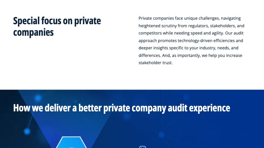 KPMG Private Audit 2024