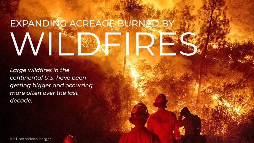 Wildfires 2021