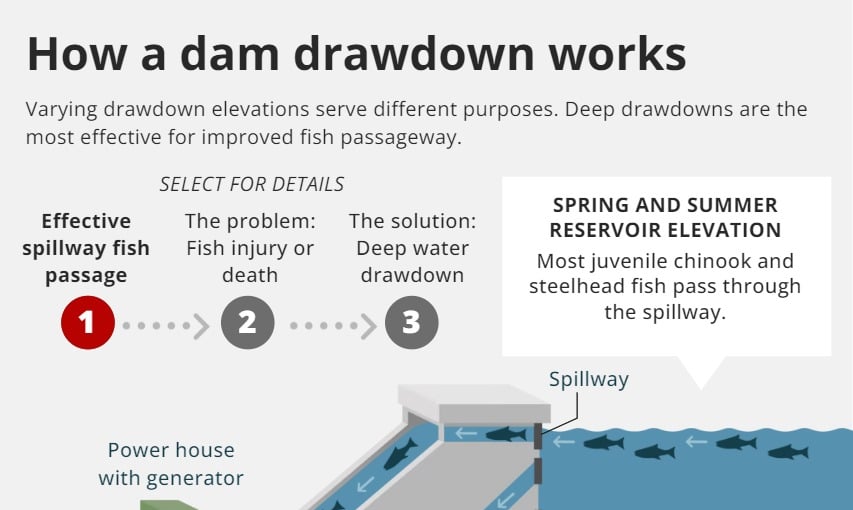 Dam deepwater drawdown