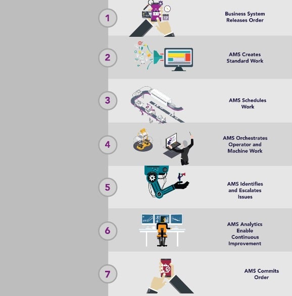 AMS Infographic - no rollover