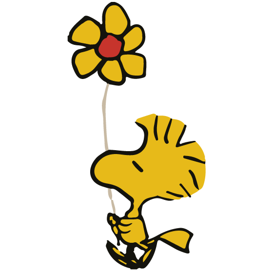 Snoopy Daisy Landing