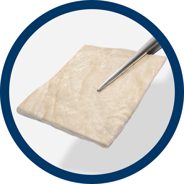 acfas2021 acfas, LIFENET HEALTH, WOUND HEALING, PODIATRY, ALLOGRAFT