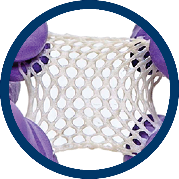 acfas2021 acfas, LIFENET HEALTH, WOUND HEALING, PODIATRY, ALLOGRAFT