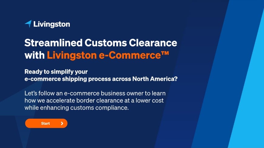 Streamlined Customs Clearance with Livingston e-Commerce