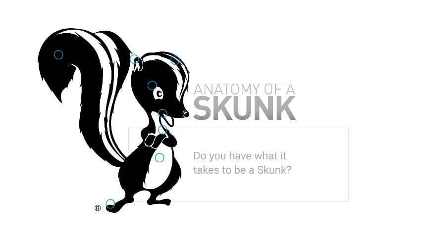 Anatomy of a Skunk - Final 10.11.19 Skunk Works