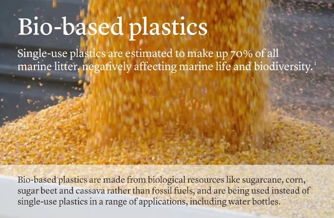 NFS - Food Packaging_EN