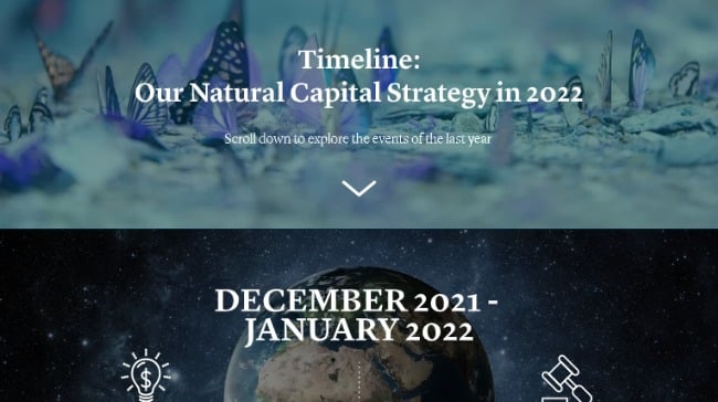 NatCap - 2022 Timeline -v2