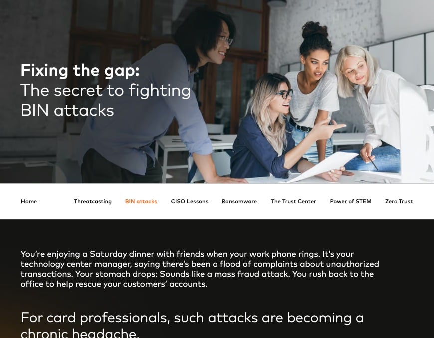 Article 2: BIN attack