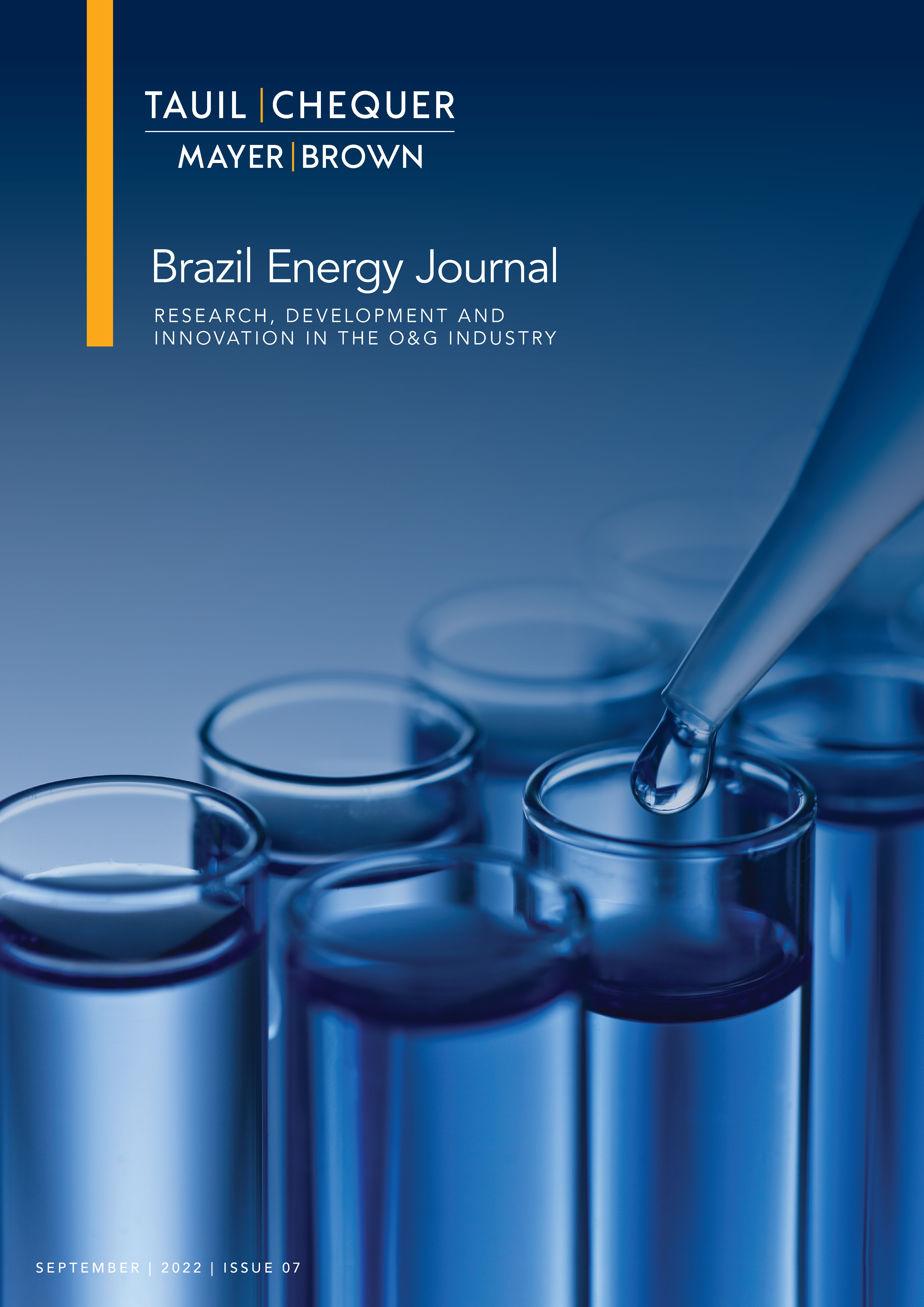 Brazil Energy Journal