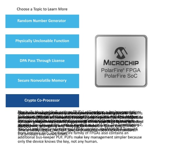 Secure Fpgas And Soc Fpgas