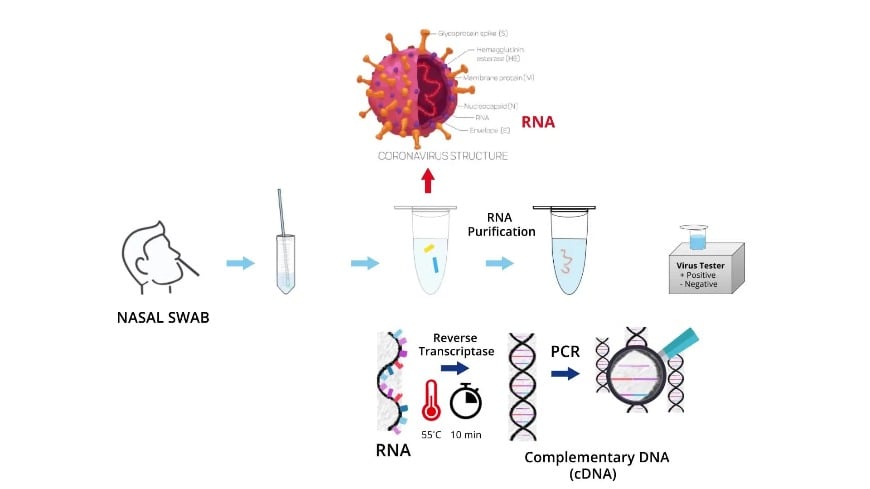 Virus Animation Design