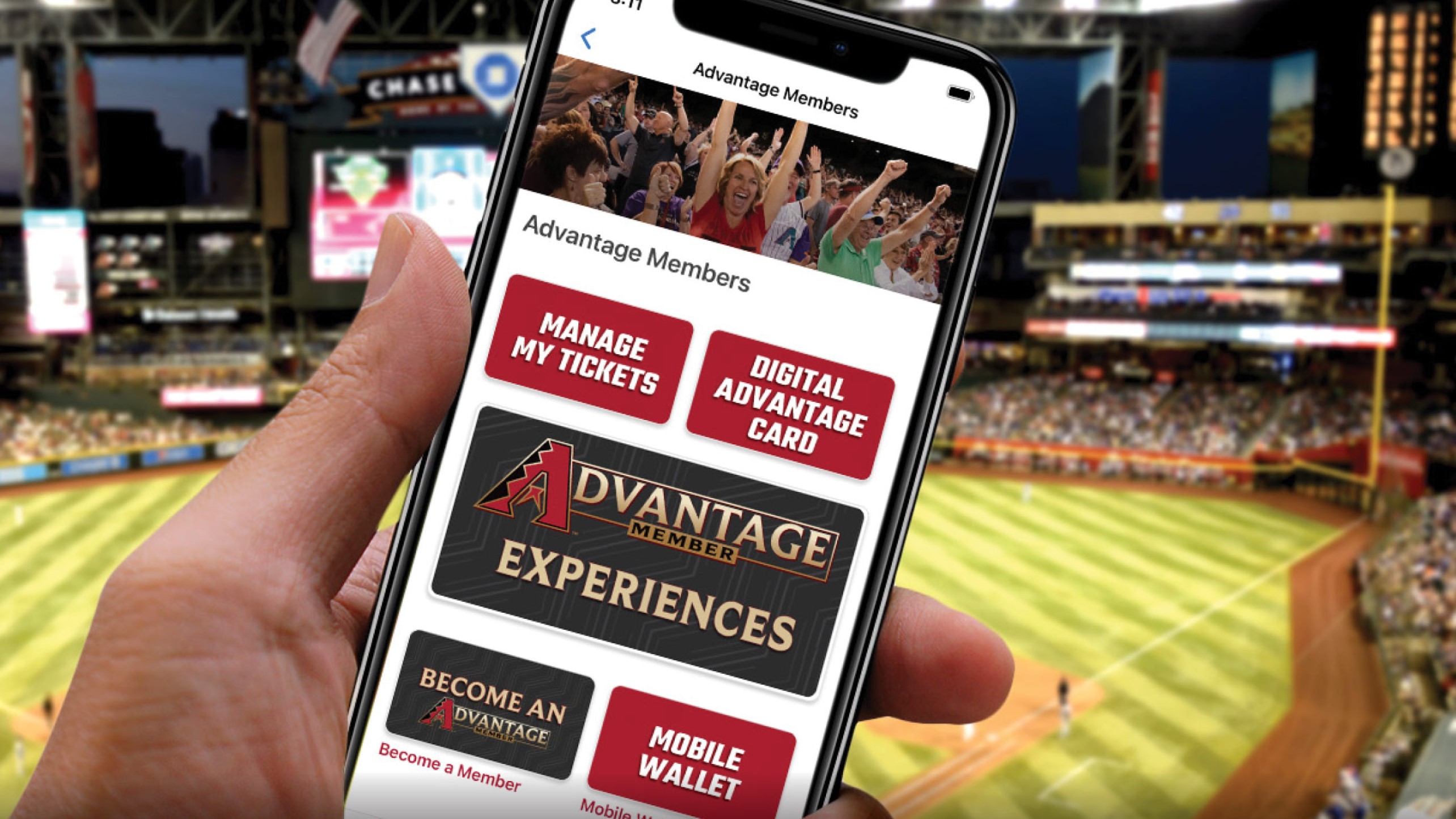 Diamondbacks Advantage Member
