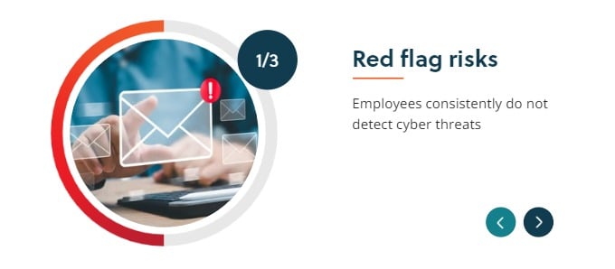Cyber Security - Red Flags