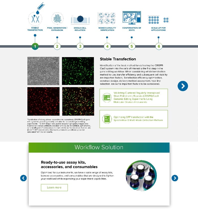 Gene Editing