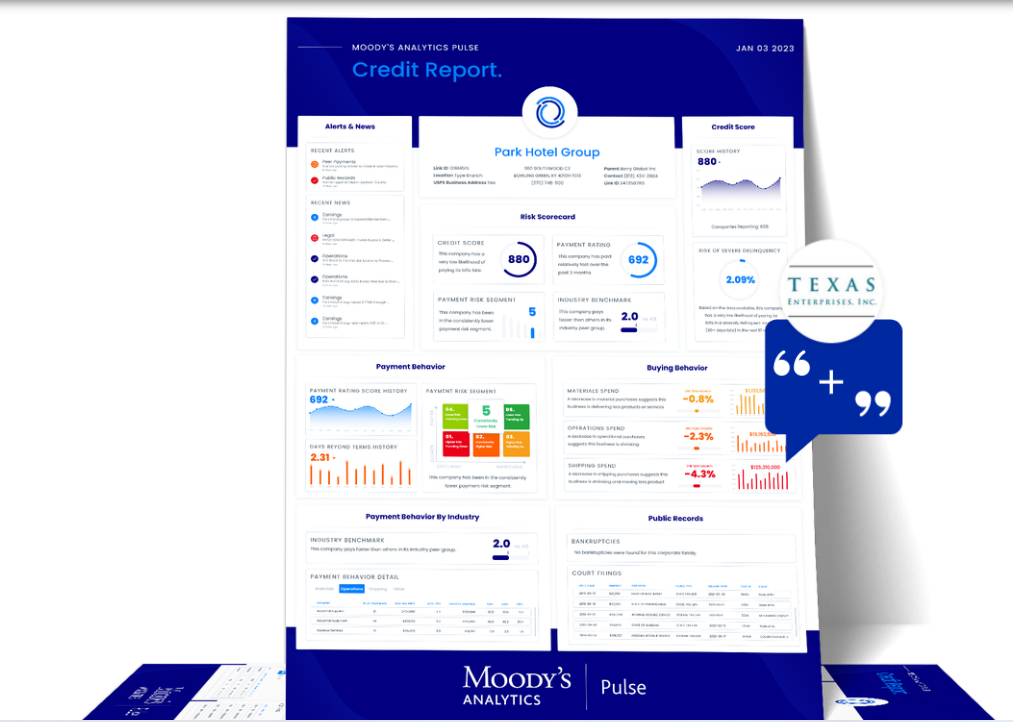 Texas Enterprises, Inc. Case Study