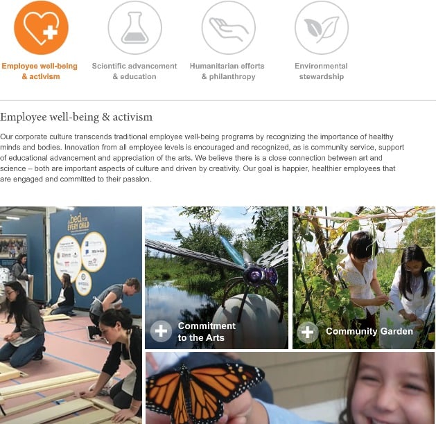 Sustainability Photo Collage International