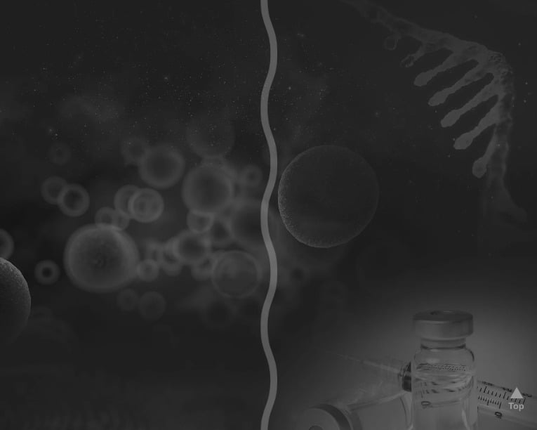 A History of RNA Discovery Timeline nucleic acid vaccines, rna, rna ...