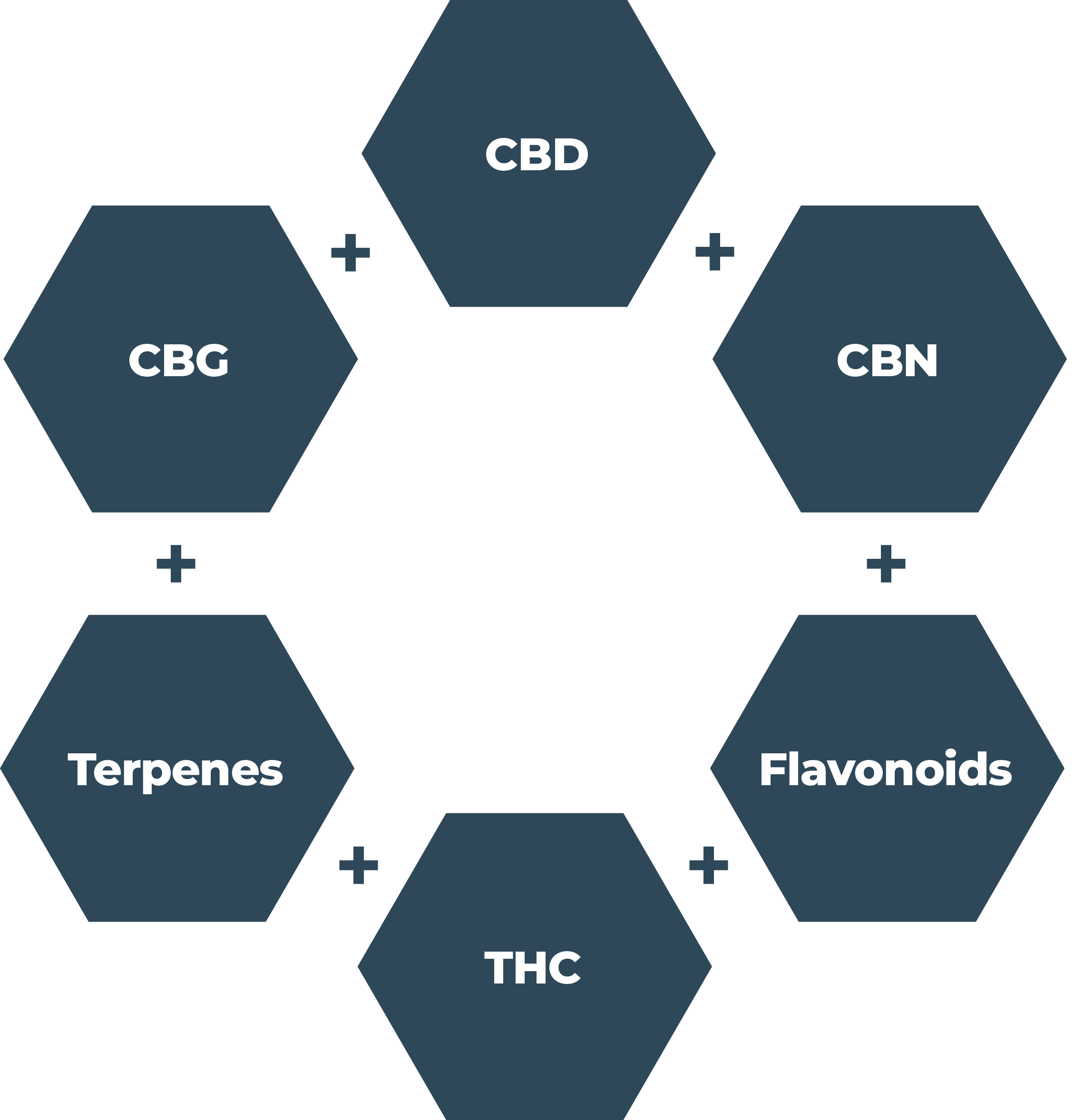 Interactive Infographic_V2 CBDistillery : Educating by Example